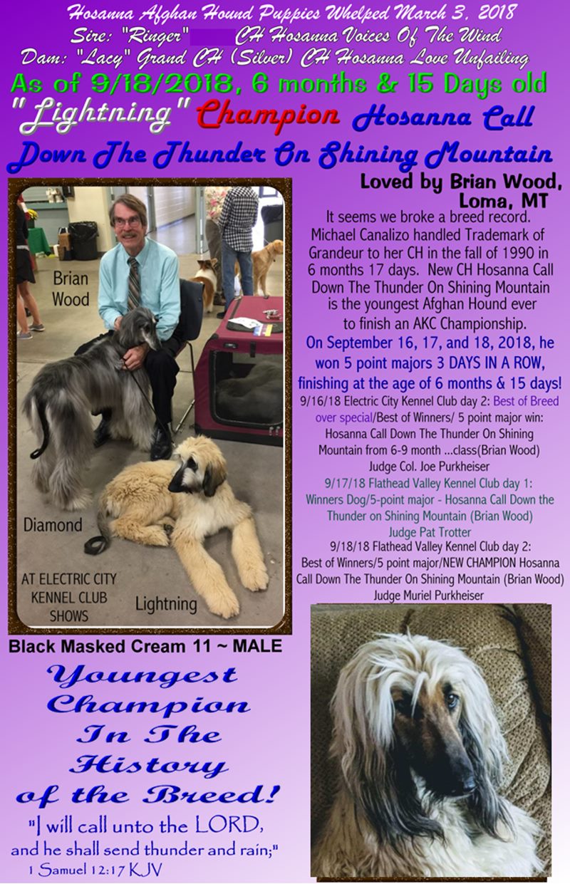 LIGHTNING ~ CH Hosanna Call Down The Thunder On Shining Mountain ~ CH ...